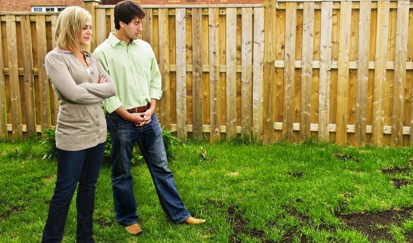 Common Lawn Problems and How to Fix Them