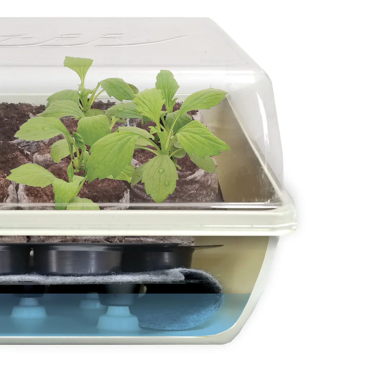 Jiffy Self-Watering Seed Starting Kit 34 Cell 36mm Peat Pellets ...